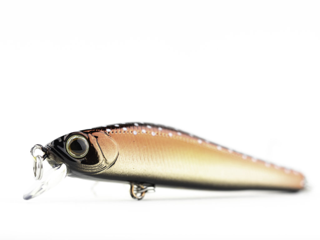 Trout gear for every budget | Blog | Trout and Stream